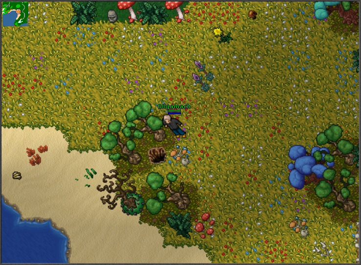 Arquivo:FT38.png - Tibia Wiki - A Enciclopédia do Tibia