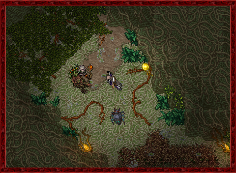 Arquivo:Summer Update 2024 - Teaser 3 02.png - Tibia Wiki - A ...