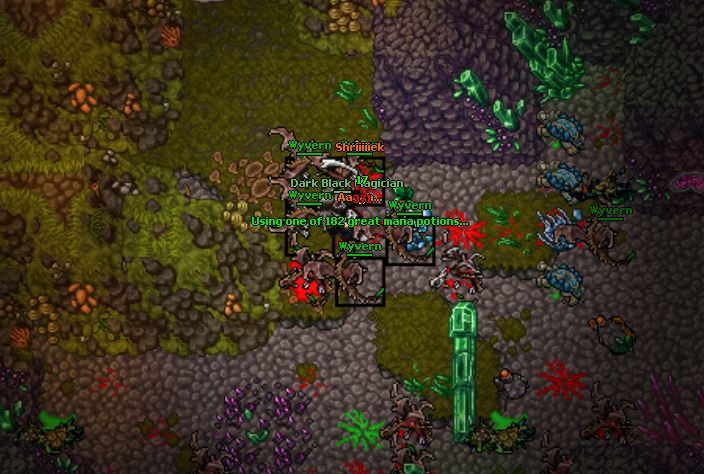 Arquivo:Mushroom Fields Raid.jpg - Tibia Wiki - A Enciclopédia do Tibia