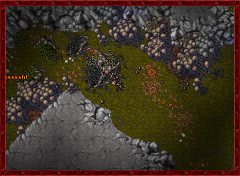 Arquivo:Summer Update 2021 - Teaser 1 09.png - Tibia Wiki - A ...