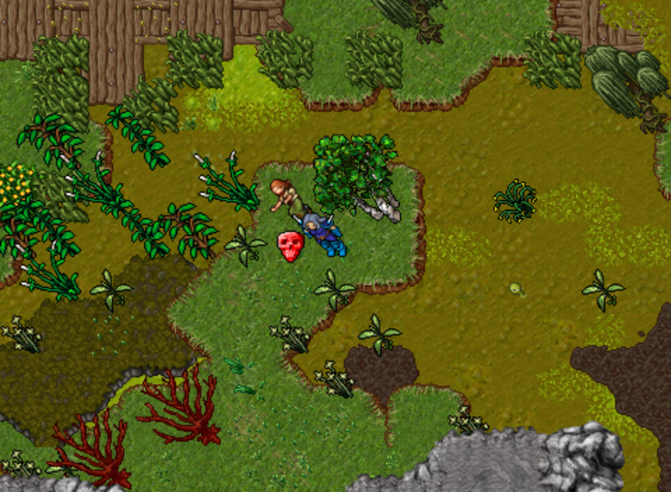 Arquivo:25 Years of Tibia Quest Red Skull.png - Tibia Wiki - A ...