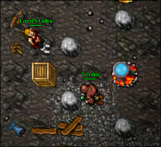 Arquivo:Royalrescue20.png - Tibia Wiki - A Enciclopédia do Tibia