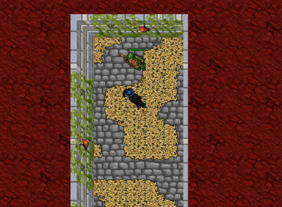 Arquivo:Tamerin's place.png - Tibia Wiki - A Enciclopédia do Tibia
