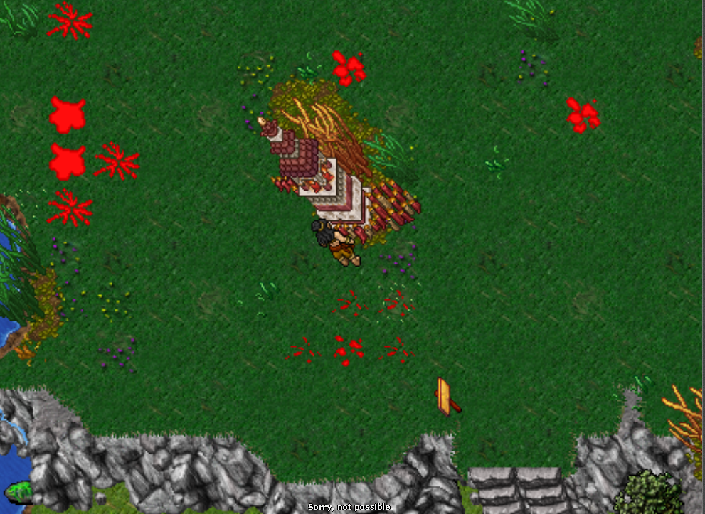 Arquivo:Monk Quest Shrine 4.png - Tibia Wiki - A Enciclopédia do Tibia