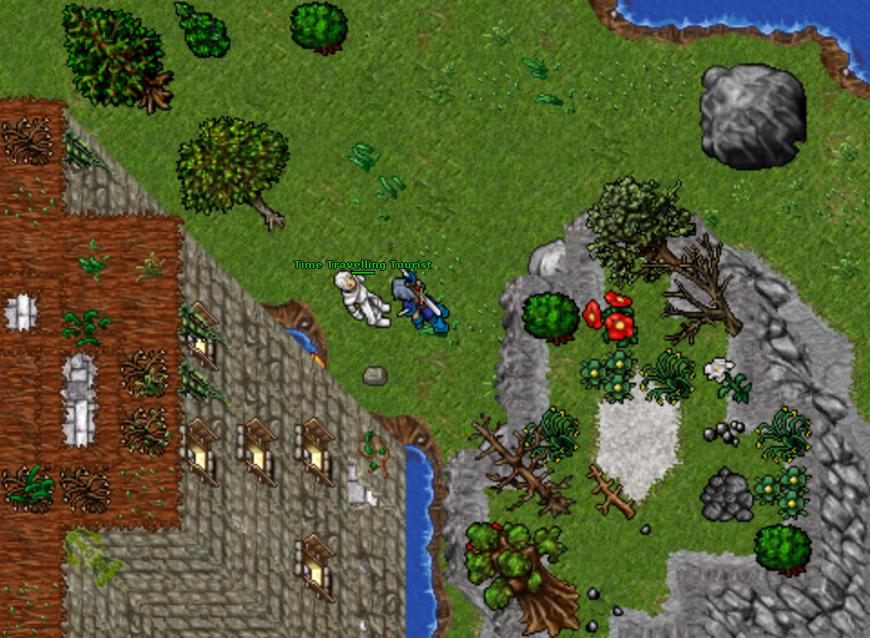 Arquivo:Tibia 25 Anos Time Tourist Plains of Havoc.png - Tibia Wiki - A ...