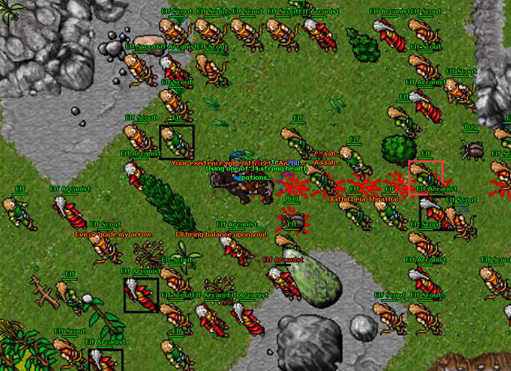 Arquivo:Venore Elf Raid.jpg - Tibia Wiki - A Enciclopédia do Tibia