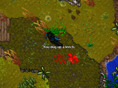 Arquivo:Leech.png - Tibia Wiki - A Enciclopédia do Tibia