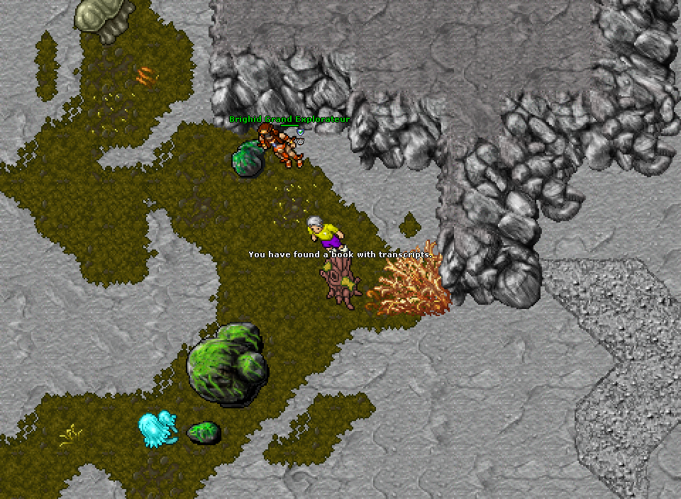 Arquivo:Cradle of Monsters Quest Imagem 11.png - Tibia Wiki - A ...