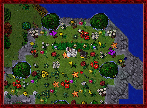Arquivo:Casamento1.PNG - Tibia Wiki - A Enciclopédia do Tibia