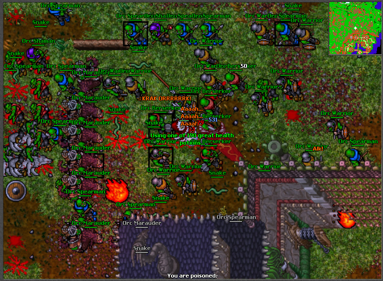 Arquivo:Zao Steppe Orcs Raid.jpg - Tibia Wiki - A Enciclopédia do Tibia