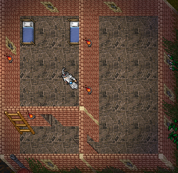 Salvation Street 1 (Shop) (Venore) • Tibia Home