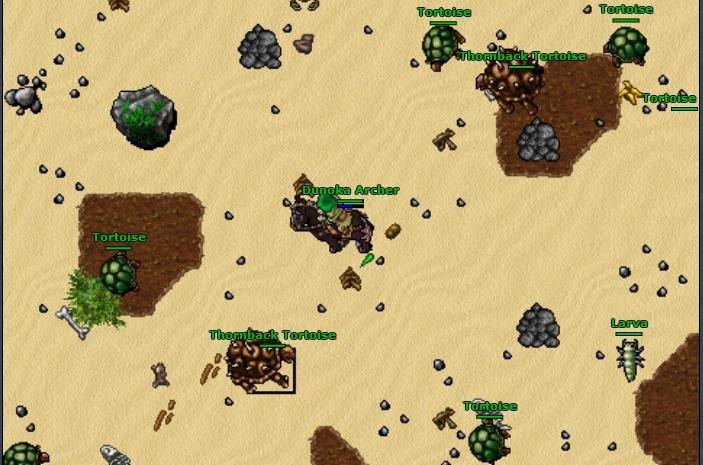 Arquivo:Tortoise Raid.jpg - Tibia Wiki - A Enciclopédia do Tibia