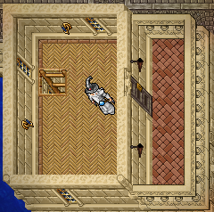 Loot Lane 1 (Shop) (Venore) • Tibia Home