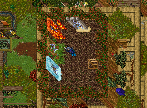 Arquivo:Elemental Portals Ab'Dendriel.png - Tibia Wiki - A Enciclopédia ...