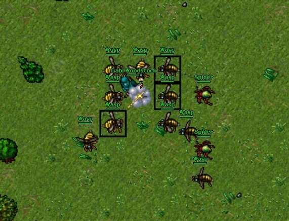 Arquivo:Wasp Raid thais.jpg - Tibia Wiki - A Enciclopédia do Tibia