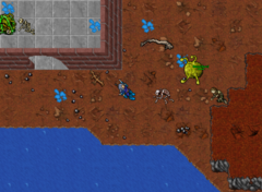 Thais Quest - Tibia Wiki - A Enciclopédia do Tibia