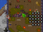 No Rest for the Wicked Quest - Tibia Wiki - A Enciclopédia do Tibia