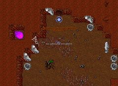 Hide - Tibia Wiki - A Enciclopédia do Tibia