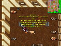 Kissing a Pig Quest - Tibia Wiki - A Enciclopédia do Tibia