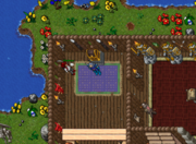Adventurers' Guild - Tibia Wiki - A Enciclopédia do Tibia