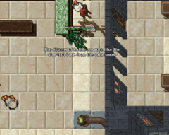 Slime Slide - Tibia Wiki - A Enciclopédia do Tibia