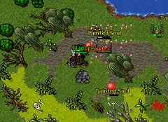 Gloom Caverns - Tibia Wiki - A Enciclopédia do Tibia