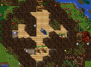 Shadowthorn Quest - Tibia Wiki - A Enciclopédia do Tibia