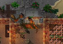 The Order of the Cobra Quest - Tibia Wiki - A Enciclopédia do Tibia