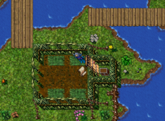 The Ape City Quest - Tibia Wiki - A Enciclopédia do Tibia