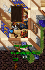 Wooden Whistle - Tibia Wiki - A Enciclopédia do Tibia