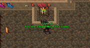 Dark Wizard's Crown - Tibia Wiki - A Enciclopédia do Tibia