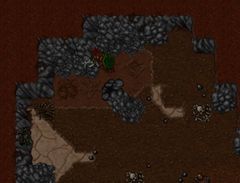 Ramoa - Tibia Wiki - A Enciclopédia do Tibia