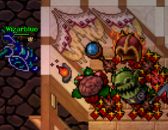 Mage's Cap - Tibia Wiki - A Enciclopédia do Tibia