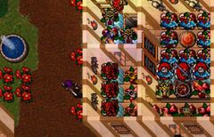 Phoenix Shield - Tibia Wiki - A Enciclopédia do Tibia