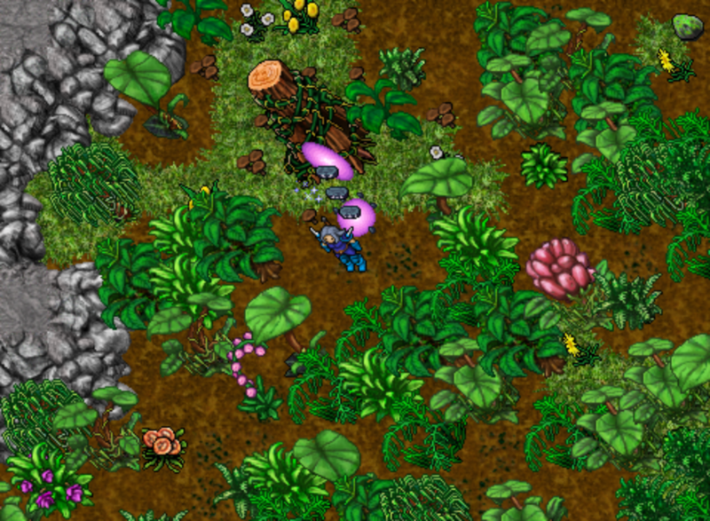 Arquivo:25 Years of Tibia Quest Portal 4-2.png - Tibia Wiki - A ...