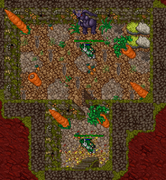 Hare's Den - Tibia Wiki - A Enciclopédia do Tibia