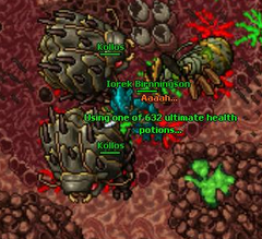 Quest:Hive - Tibia Wiki - A Enciclopédia do Tibia