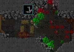 The Hidden City of Beregar Quest - Tibia Wiki - A Enciclopédia do Tibia