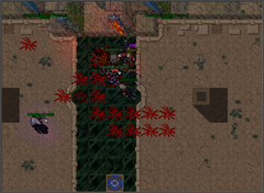 Forgotten Knowledge Quest - Tibia Wiki - A Enciclopédia do Tibia