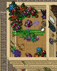 Reflecting Crown - Tibia Wiki - A Enciclopédia do Tibia