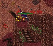Quest:Hive - Tibia Wiki - A Enciclopédia do Tibia