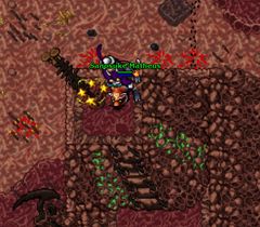 War Against The Hive Quest - Tibia Wiki - A Enciclopédia do Tibia
