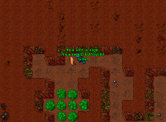 Dreamer's Challenge Quest - Tibia Wiki - A Enciclopédia do Tibia