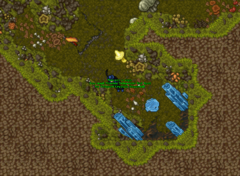 Bigfoot's Burden Quest - Tibia Wiki