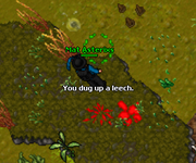 Swamp (Diggable Tile) - Tibia Wiki - A Enciclopédia do Tibia