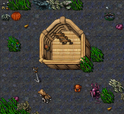 Nautic Observer - Tibia Wiki - A Enciclopédia do Tibia