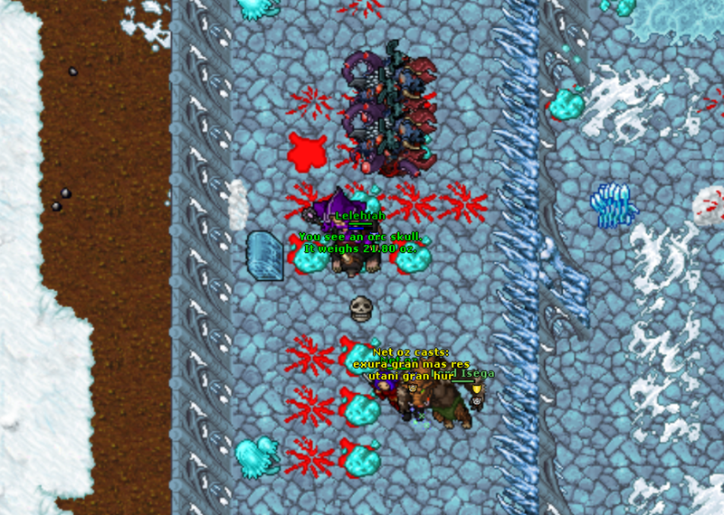 Arquivo:Pegando Orc Skull.png - Tibia Wiki - A Enciclopédia do Tibia