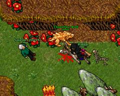 Thornfire Wolf - Tibia Wiki - A Enciclopédia do Tibia