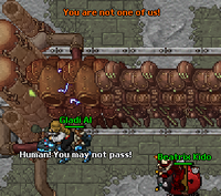 Oramond Quest - Tibia Wiki