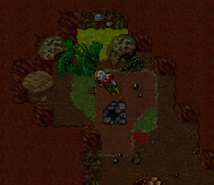 Medusa Cave - Tibia Wiki - A Enciclopédia do Tibia